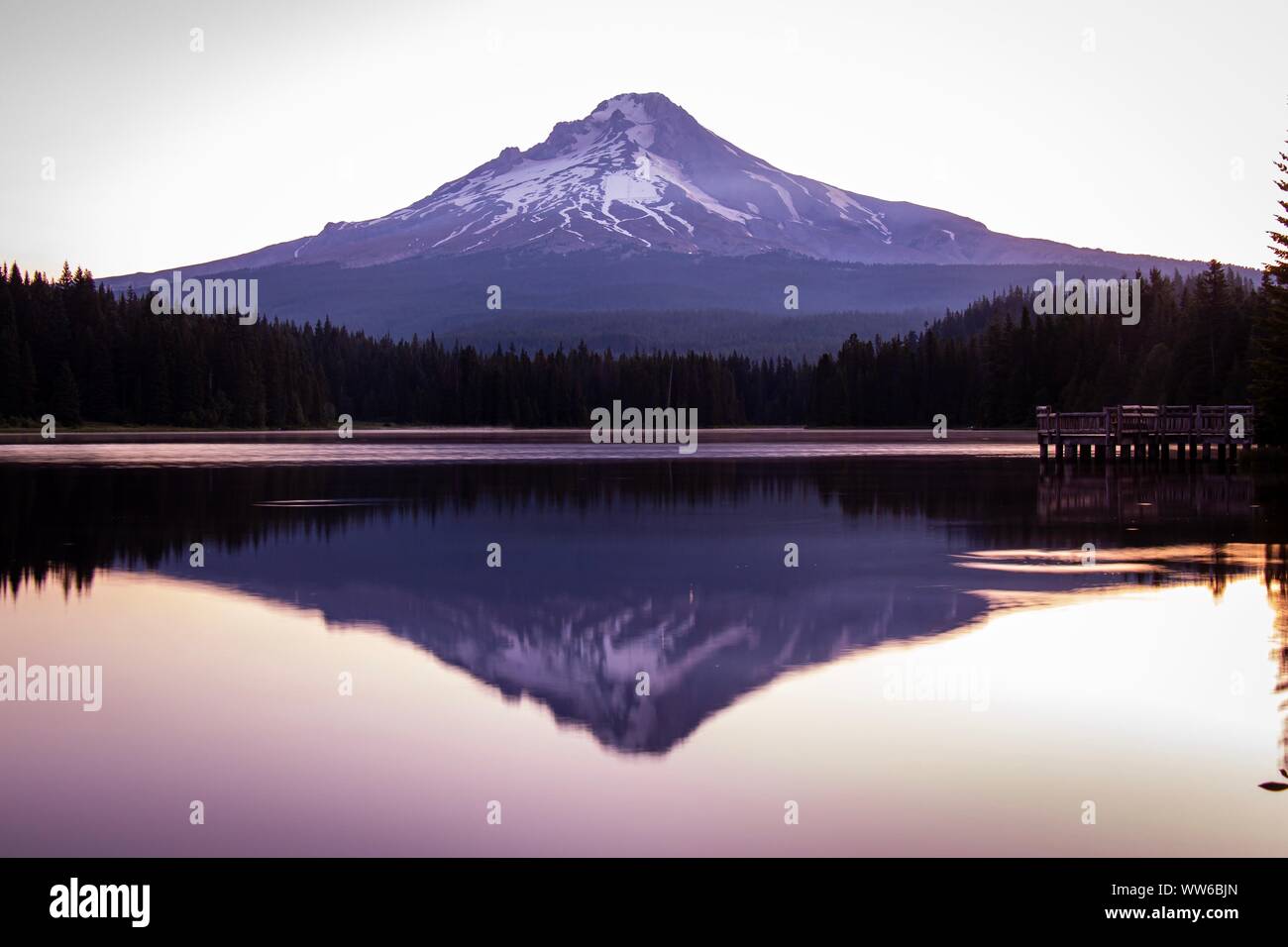 Reflection with symmetry hi-res stock photography and images - Alamy