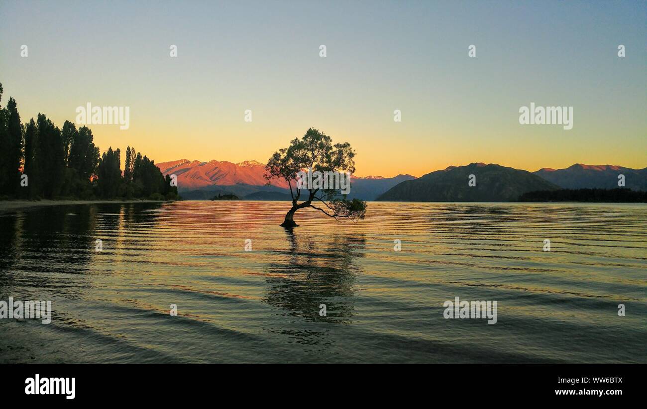 Tree line water hi-res stock photography and images - Alamy