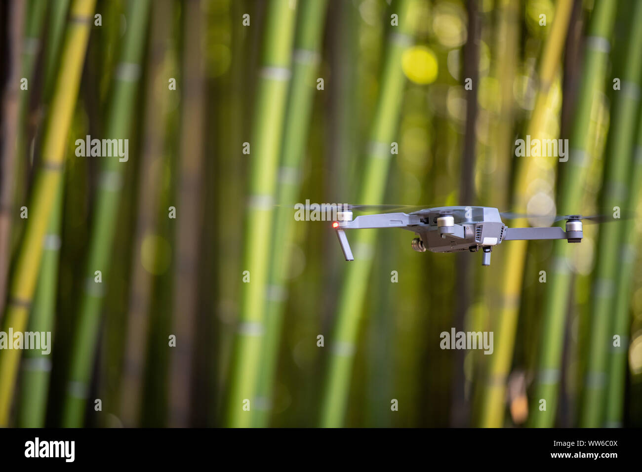 Drone in Bamboo plantation, Green bamboo fence texture background ...