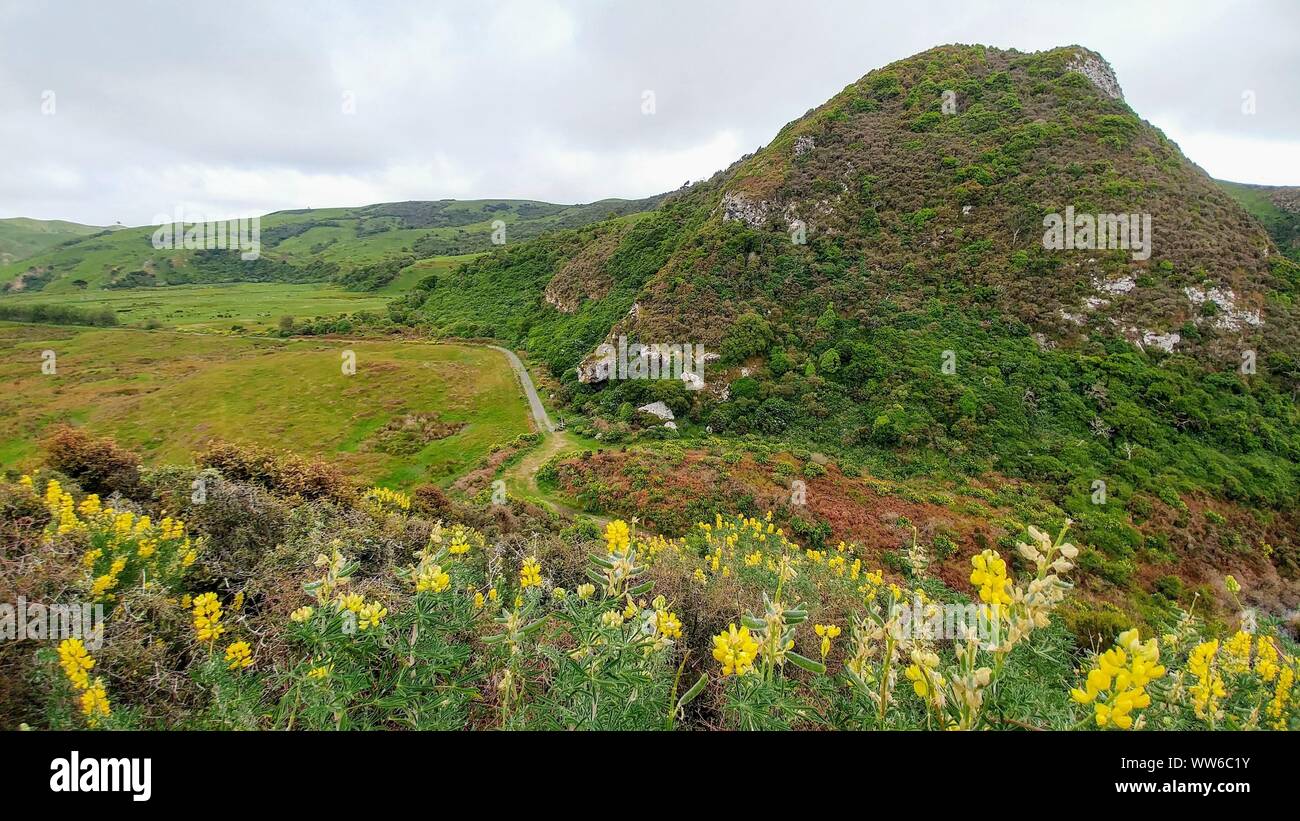 Pyramids of similar hills in Dunedin, New Zealand Stock Photo - Alamy