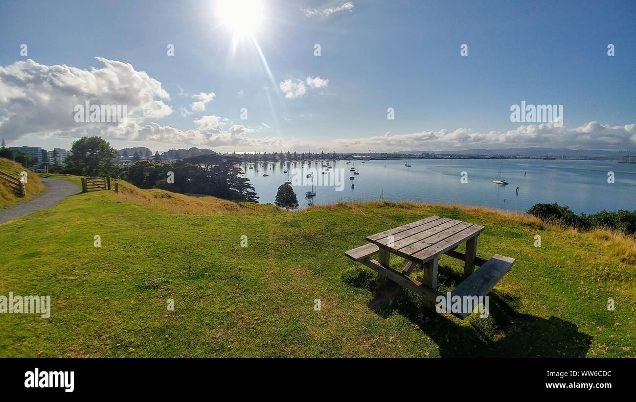 New zealand the bathing beach hi-res stock photography and images - Alamy