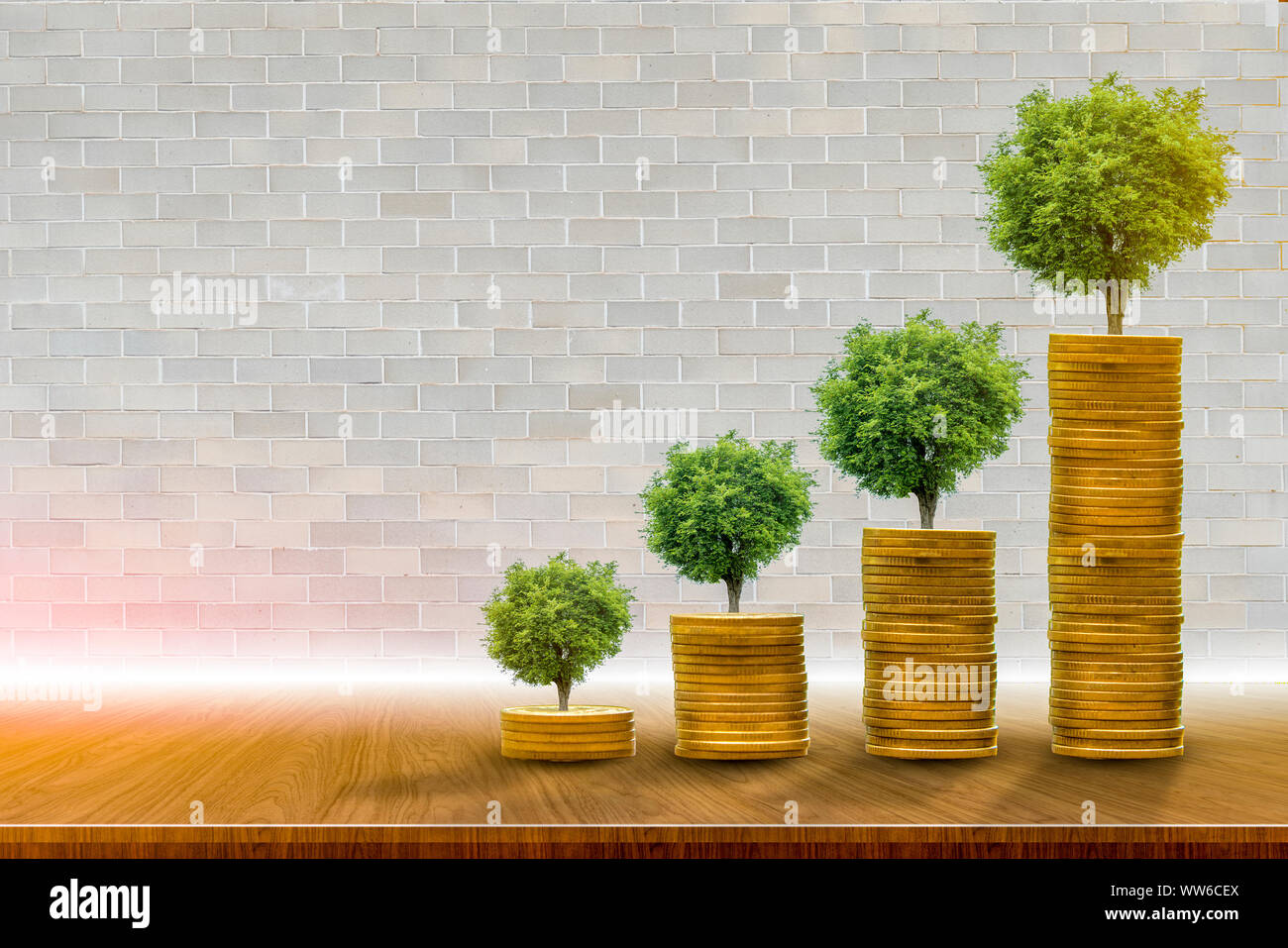 Family money tree hi-res stock photography and images - Alamy