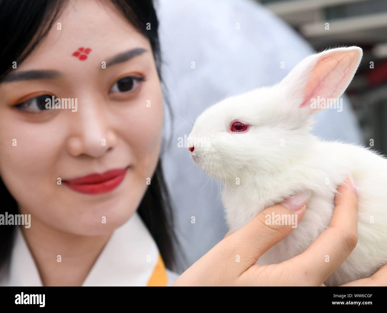 Rabbit costumes hi-res stock photography and images - Alamy