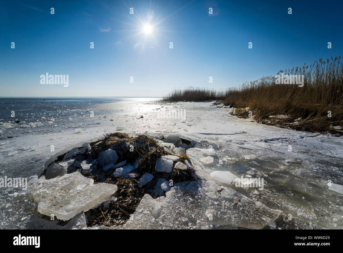 Sun in the backlight hi-res stock photography and images - Alamy