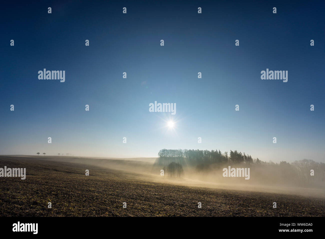 Reflecting morning sun hi-res stock photography and images - Alamy