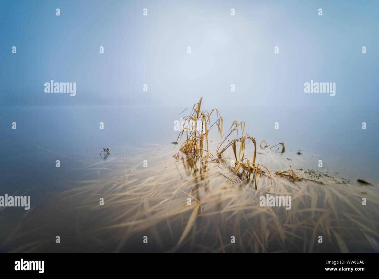 Fog over water hi-res stock photography and images - Alamy