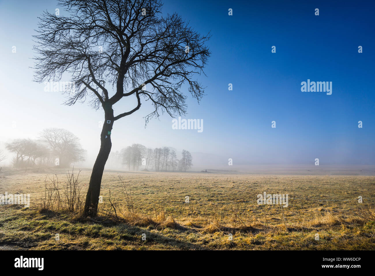 Spring day sunrise hi-res stock photography and images - Alamy