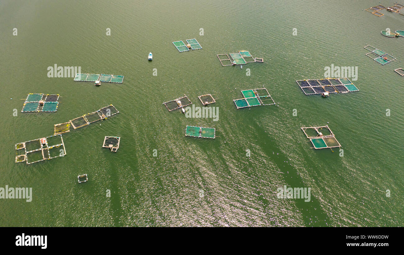 Fish farm with cages for fish and shrimp on the lake Taal, top view ...