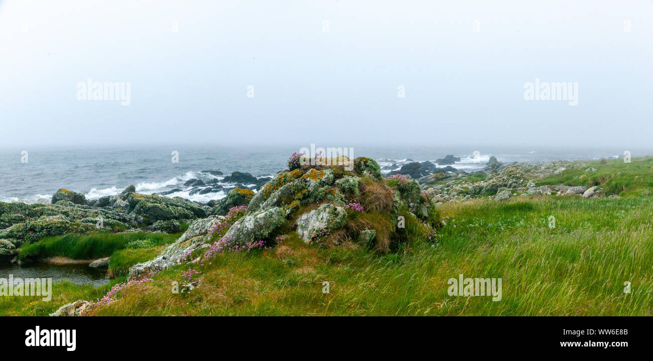 Coastal landscape, Isle of Arran, Scotland, United Kingdom Stock Photo ...