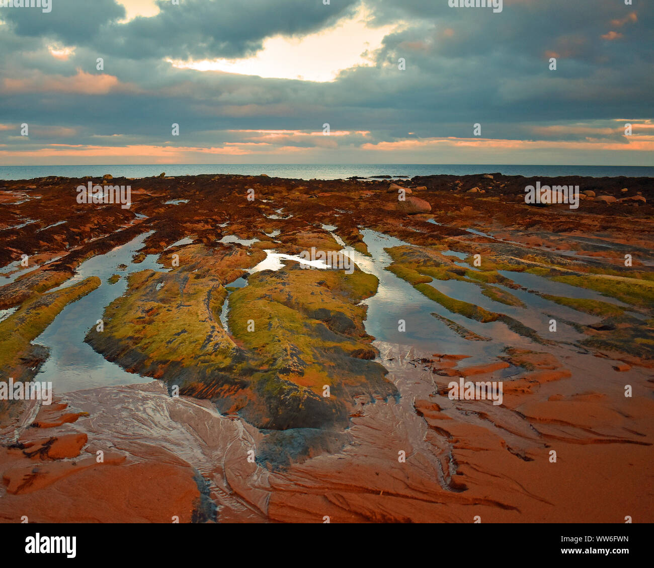 Rockpools hi-res stock photography and images - Alamy