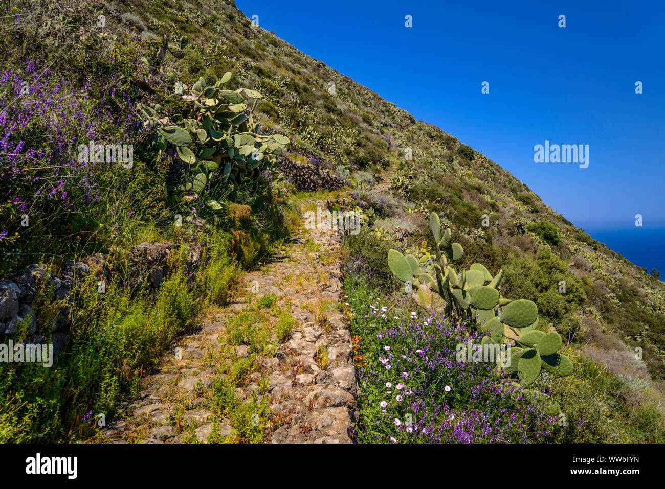 Italy, Sicily, Aeolian Islands, Alicudi, San Bartolo, footpath Stock ...