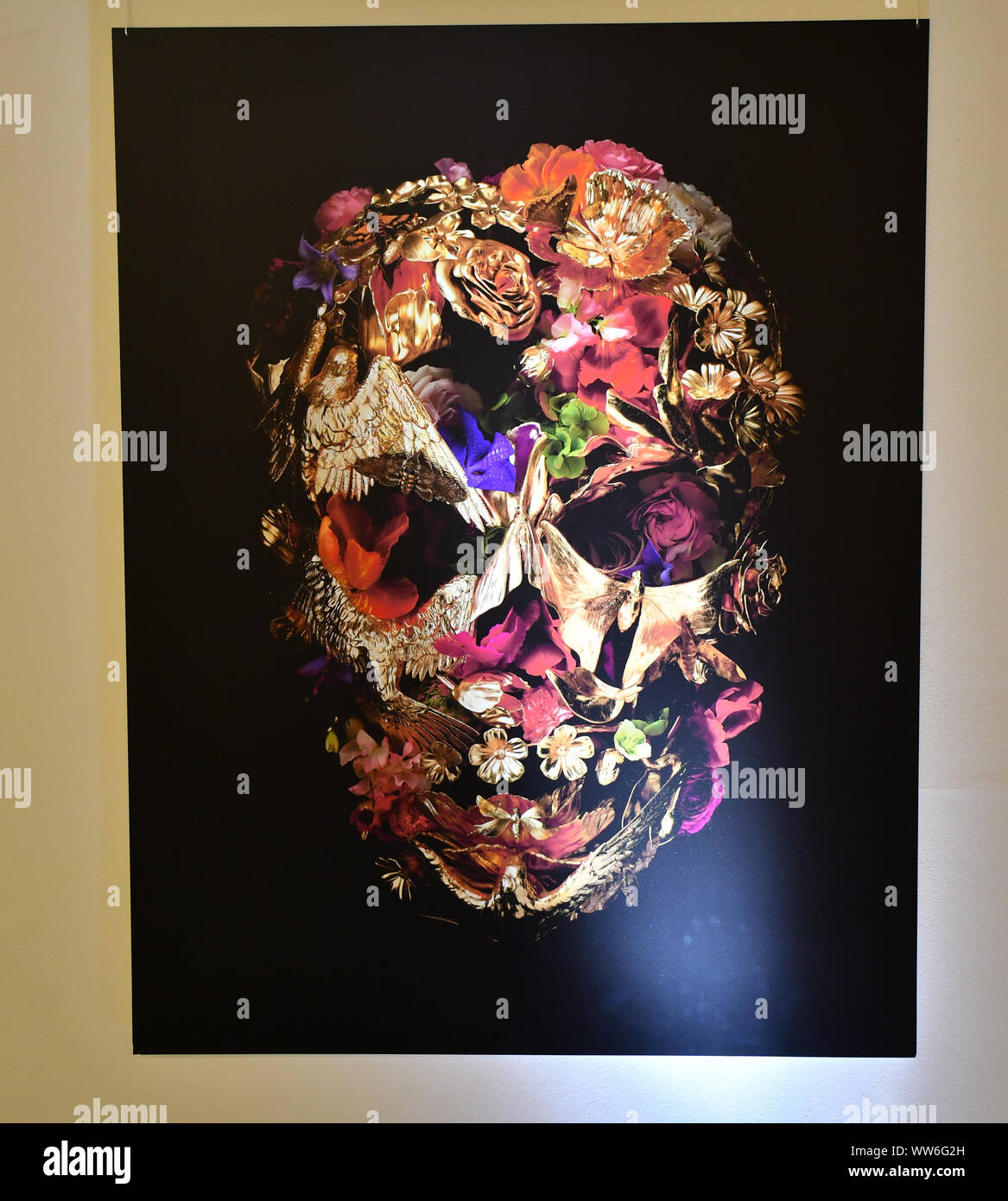 Gary mcqueen hi-res stock photography and images - Alamy