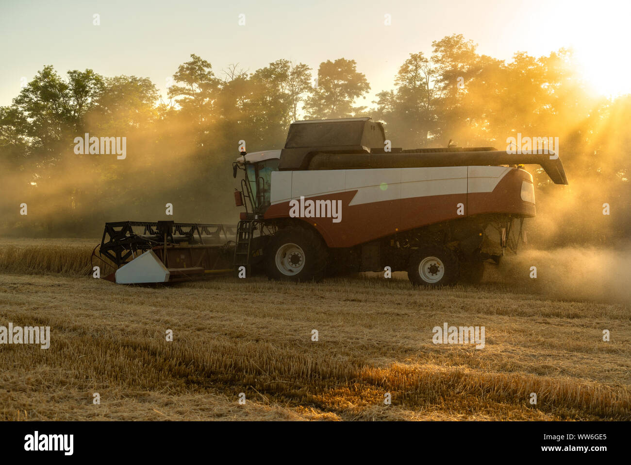 Combine harvester harvests grain in the field Stock Photo - Alamy