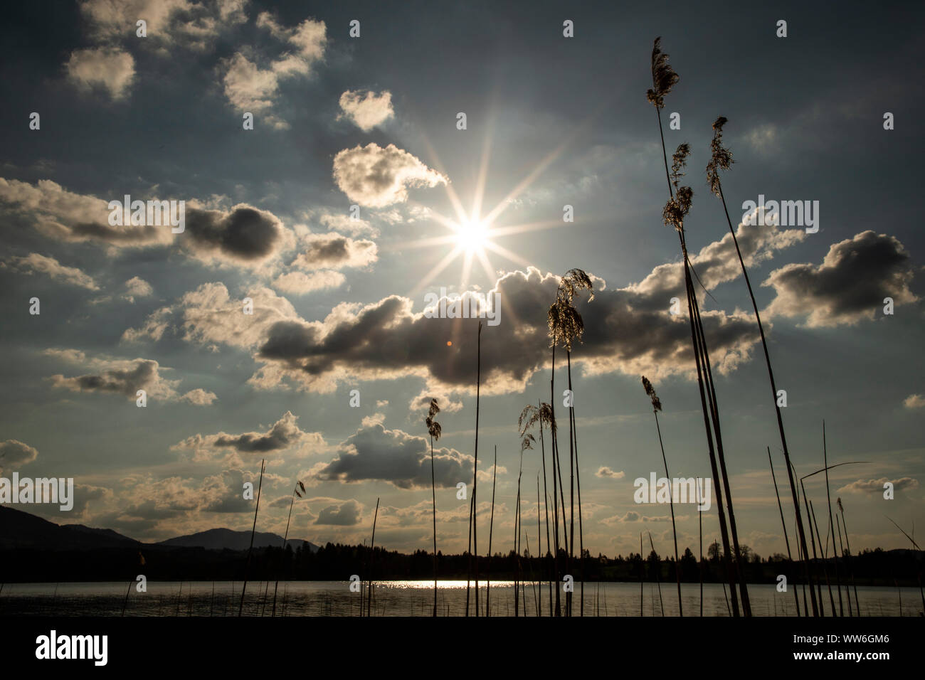 Shore of Lake Staffelsee, Uffing, Bavaria Stock Photo - Alamy
