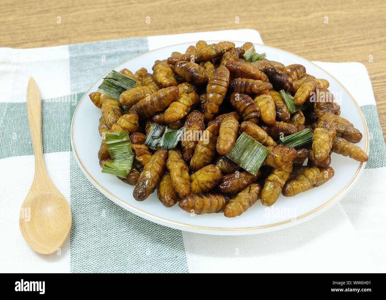 Sago worm hi-res stock photography and images - Alamy