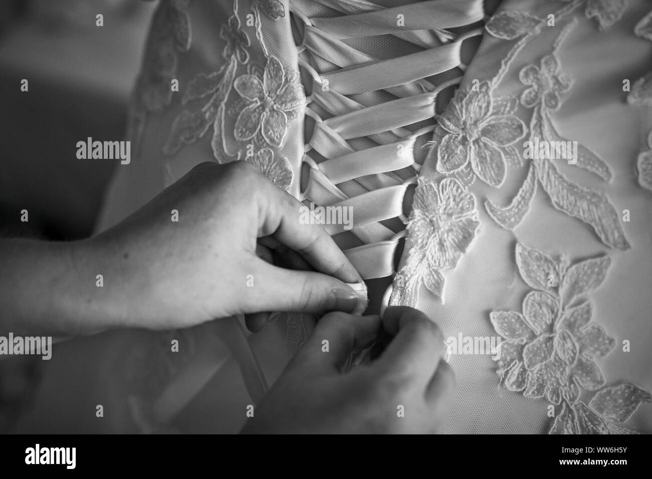 Lacing the corset of bride Stock Photo - Alamy