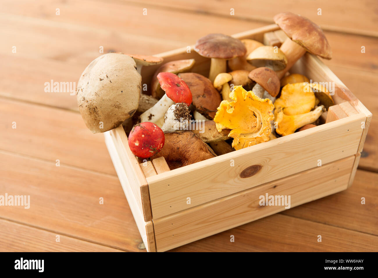 wooden box of different edible mushrooms Stock Photo - Alamy