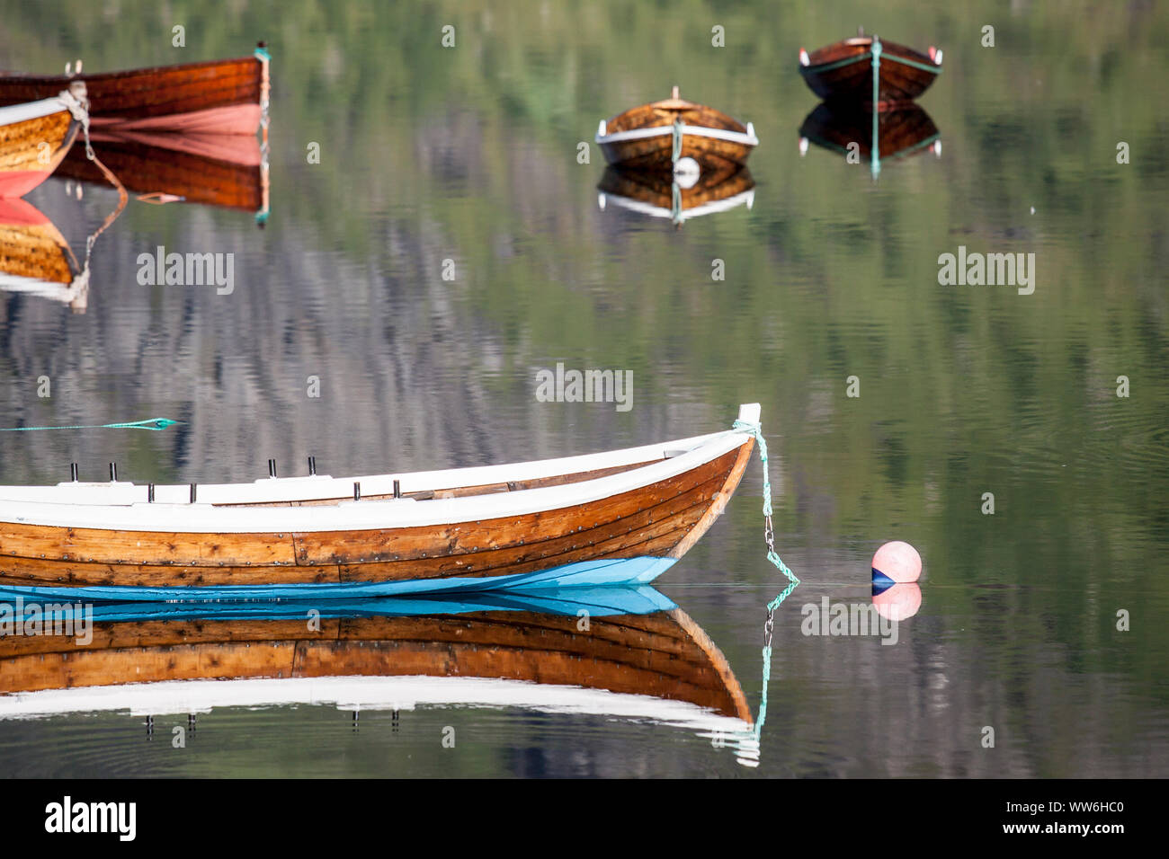 Reflection in water animals hi-res stock photography and images - Alamy