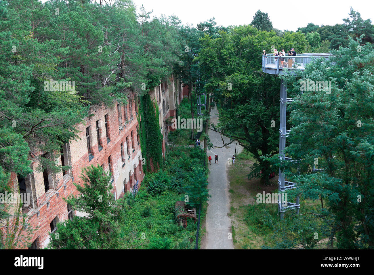 Germany brandenburg beelitz canopy hi-res stock photography and images ...