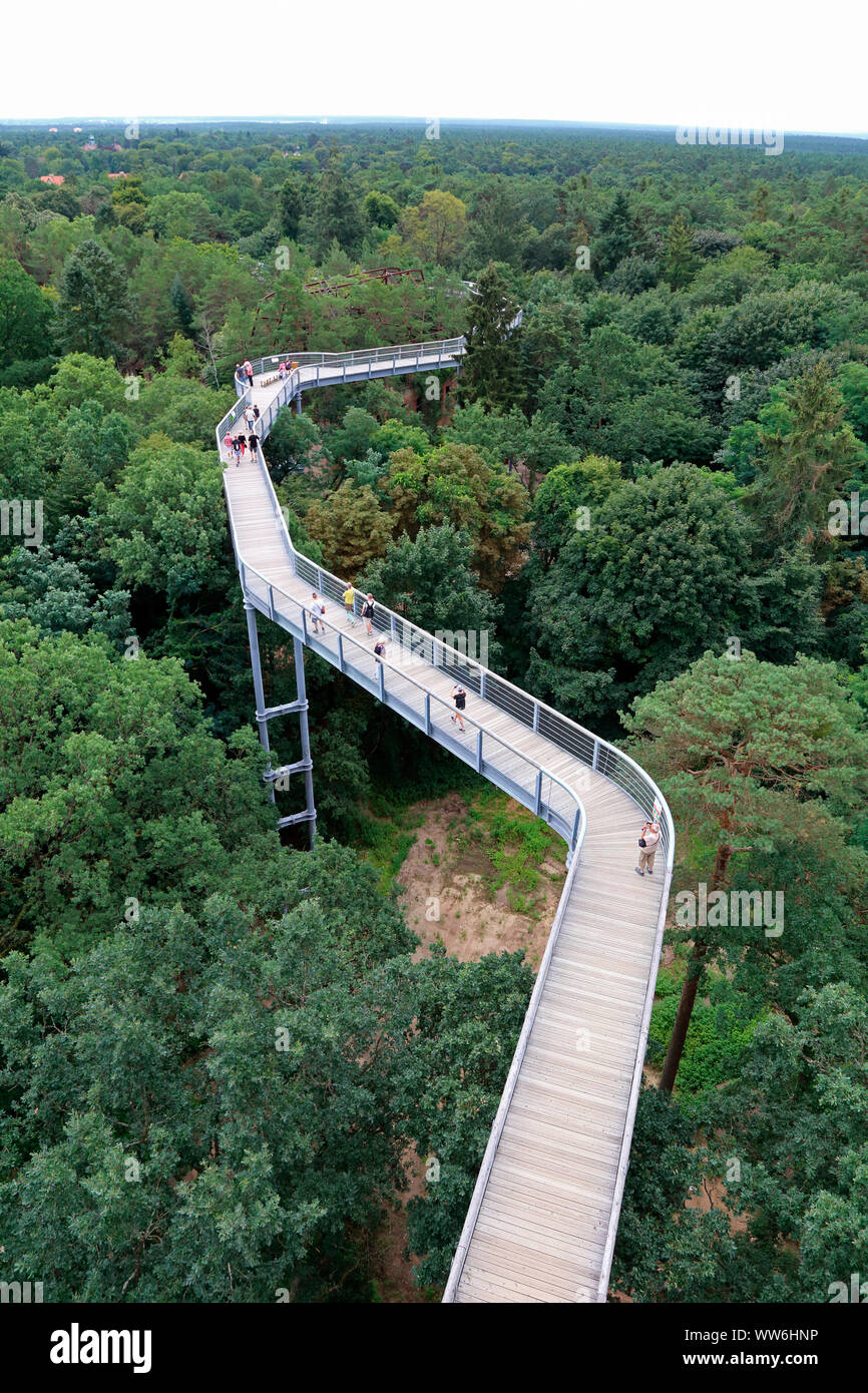 Germany, Brandenburg, Beelitz, canopy walkway Stock Photo - Alamy