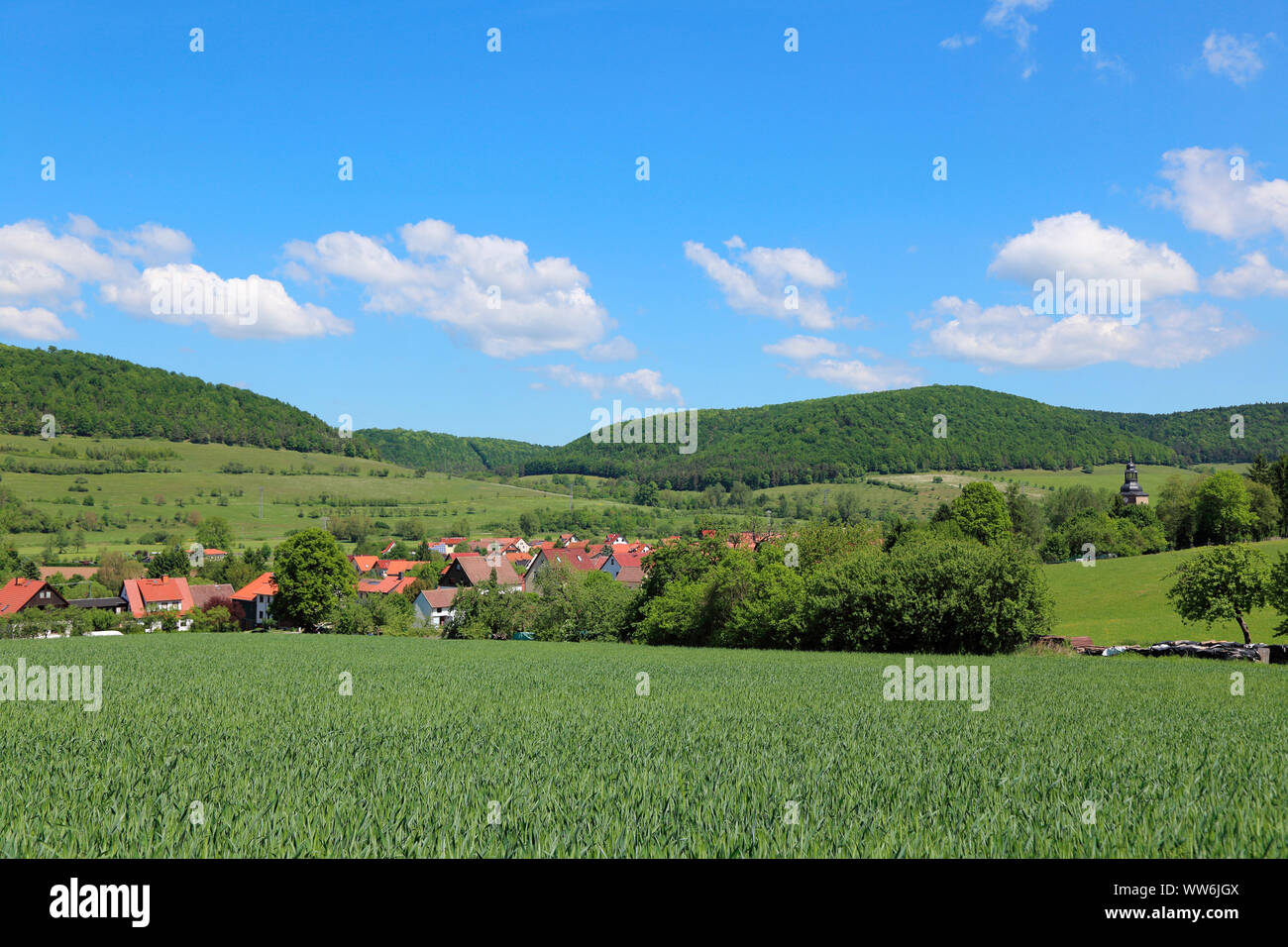 Thuringia thuringian forest hi-res stock photography and images - Alamy