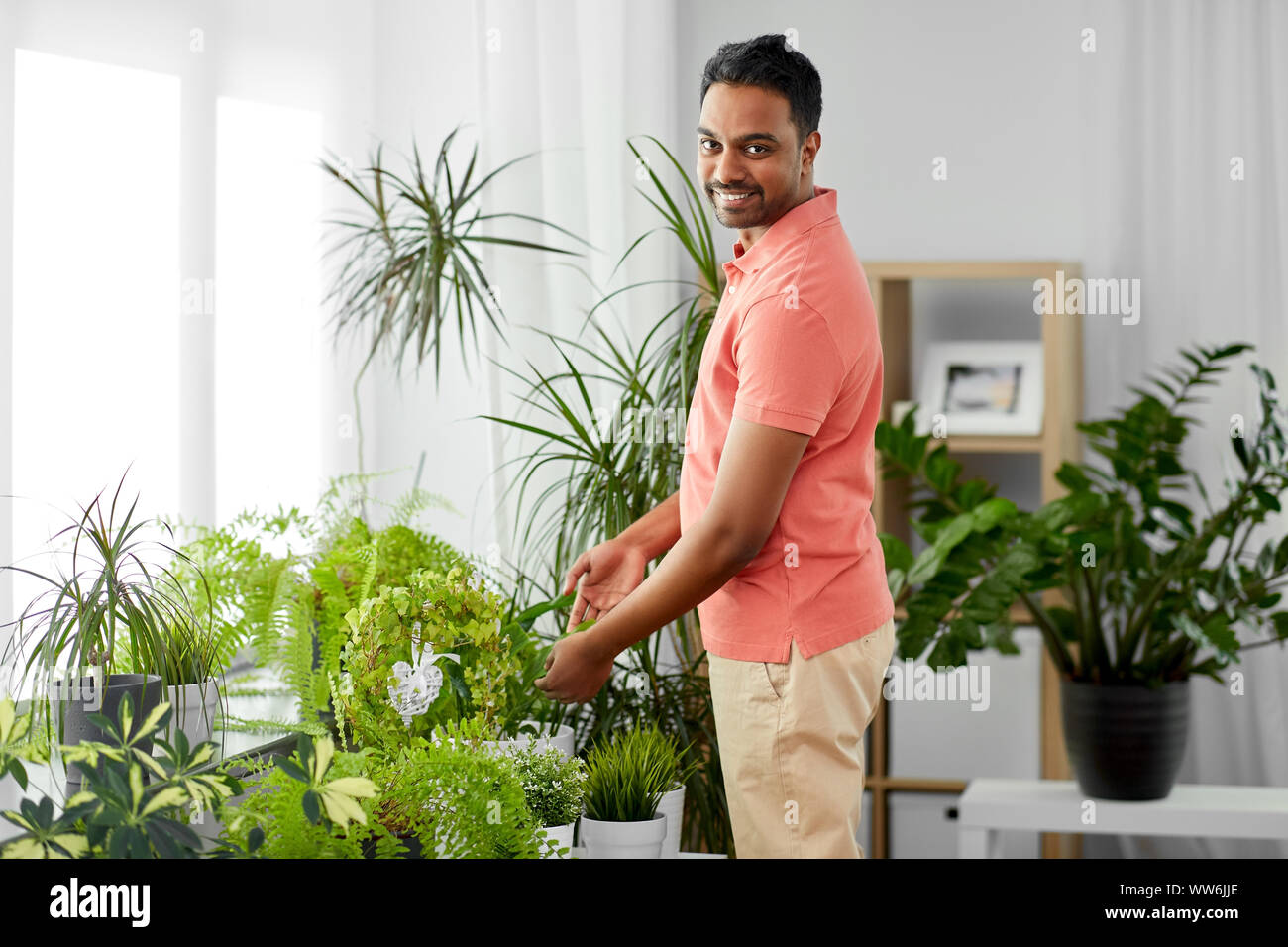 Indian home houseplants hi-res stock photography and images - Alamy