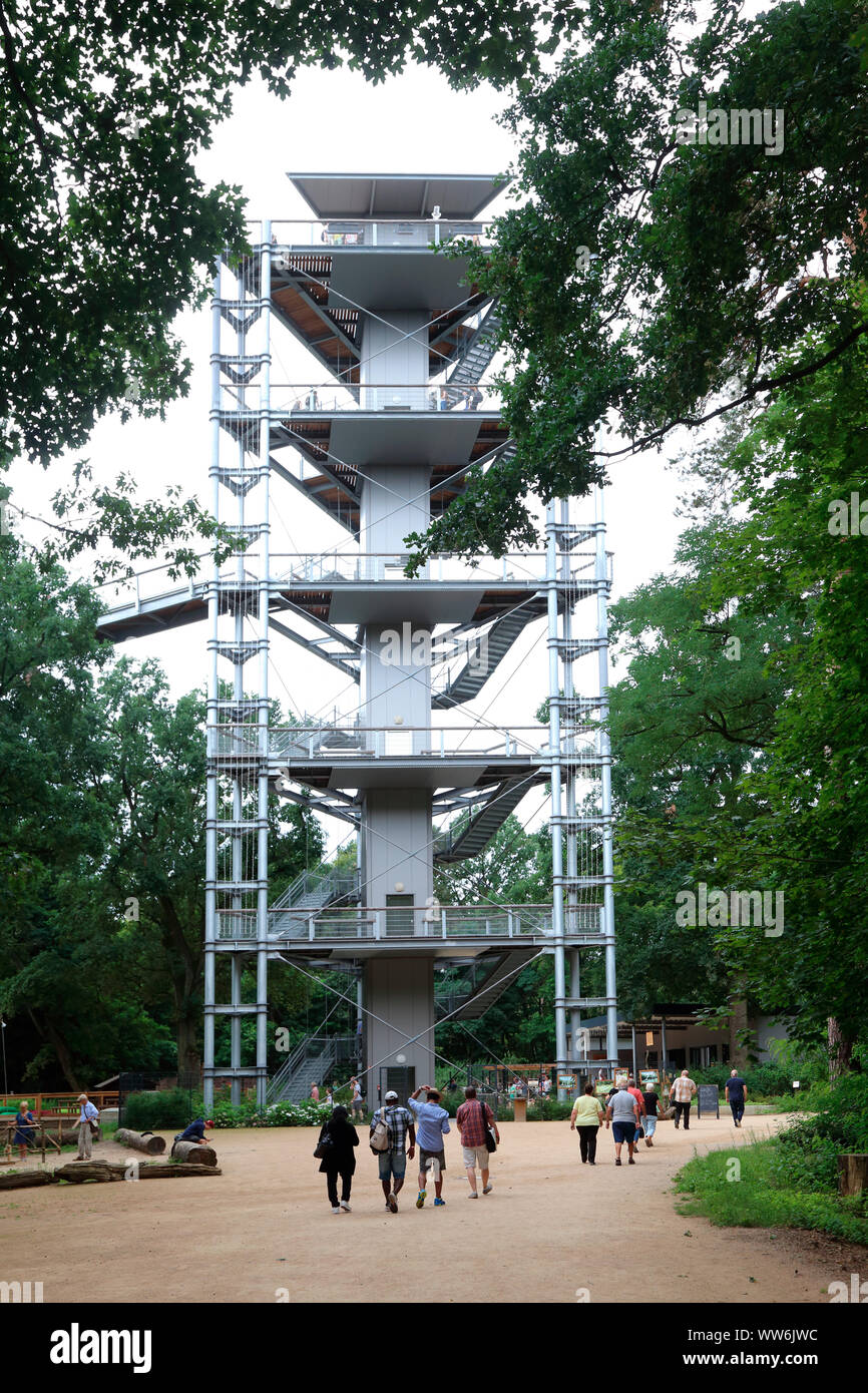 Germany, Brandenburg, Beelitz, canopy walkway Stock Photo - Alamy