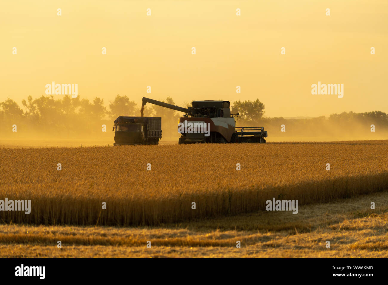 Modern combine in field hi-res stock photography and images - Alamy