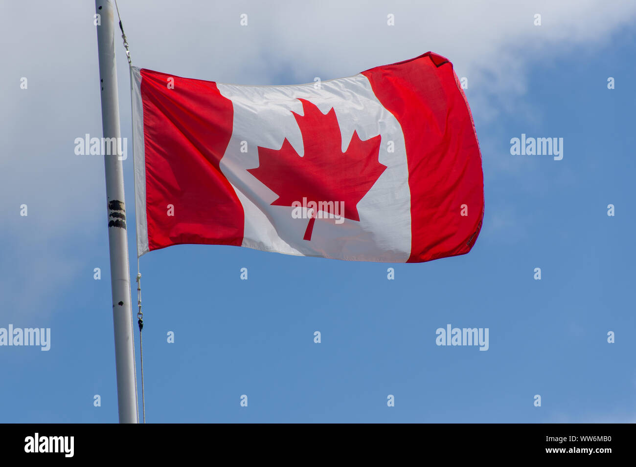 Red and White Maple Leaf Canada flag blowing in the wind s on a bright ...