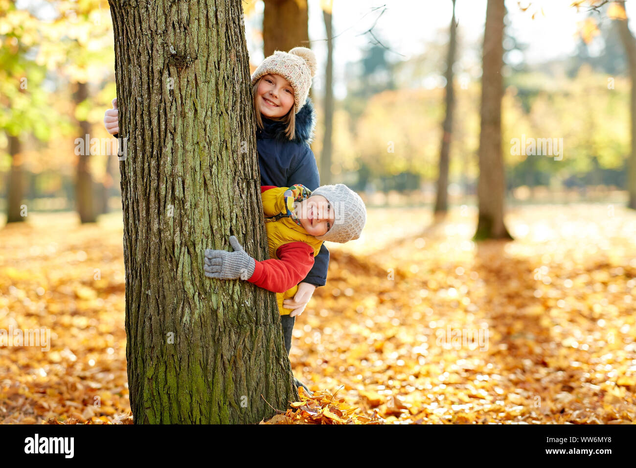 happy children peeking out tree at autumn park Stock Photo - Alamy