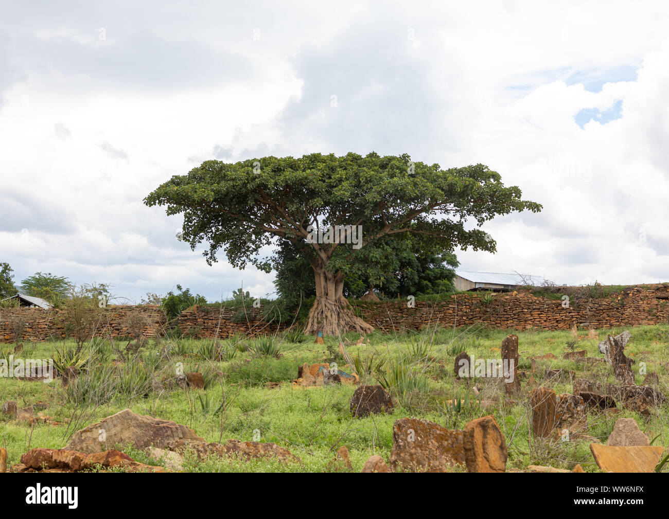Cemetery in Sheikh Hussein shrine, Oromia, Sheik Hussein, Ethiopia ...