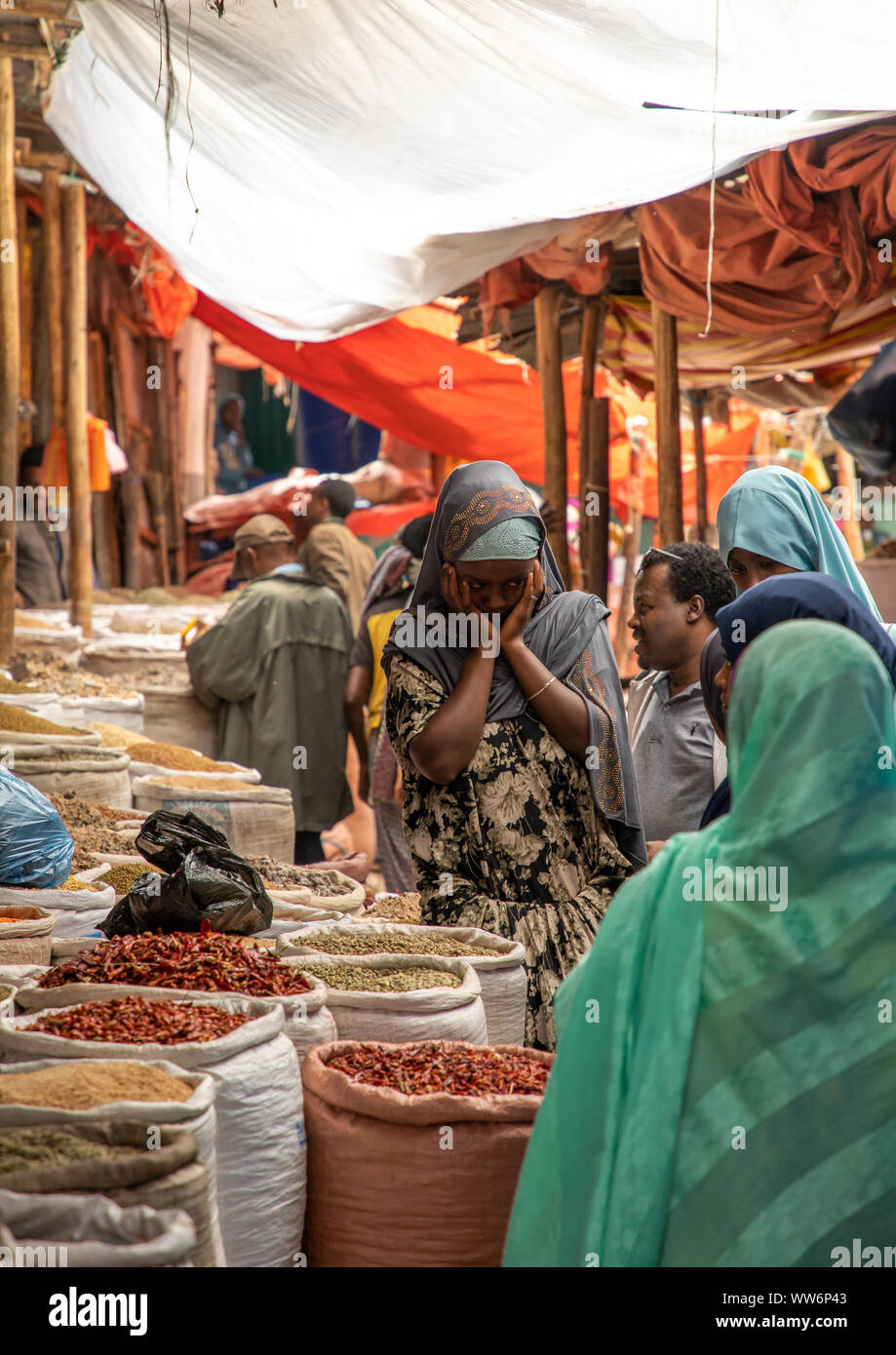 Ethiopian women in the grain market, Harari region, Harar, Ethiopia ...
