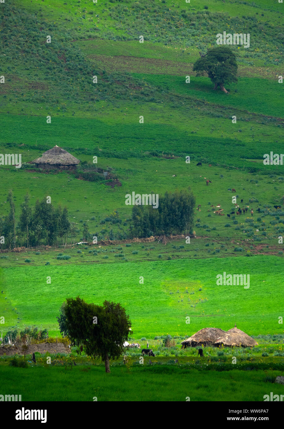 Bale mountain ethiopia village hi-res stock photography and images - Alamy