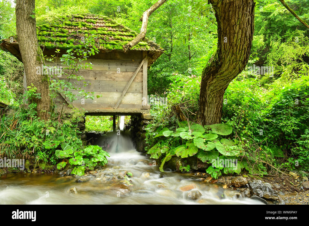 Water wheel flour mill hi-res stock photography and images - Alamy