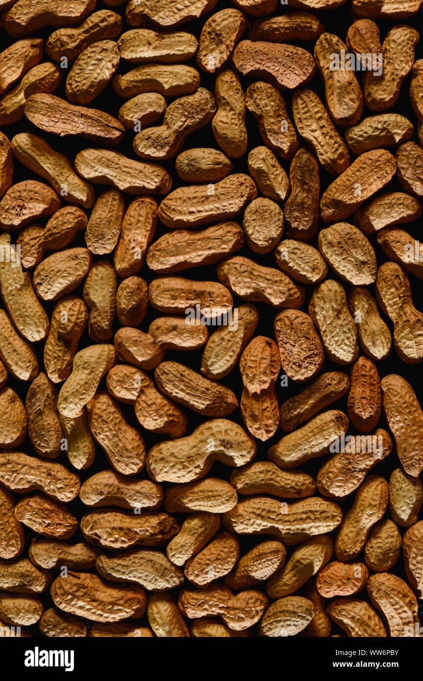 Peanut in a shell texture, background of peanuts Stock Photo - Alamy