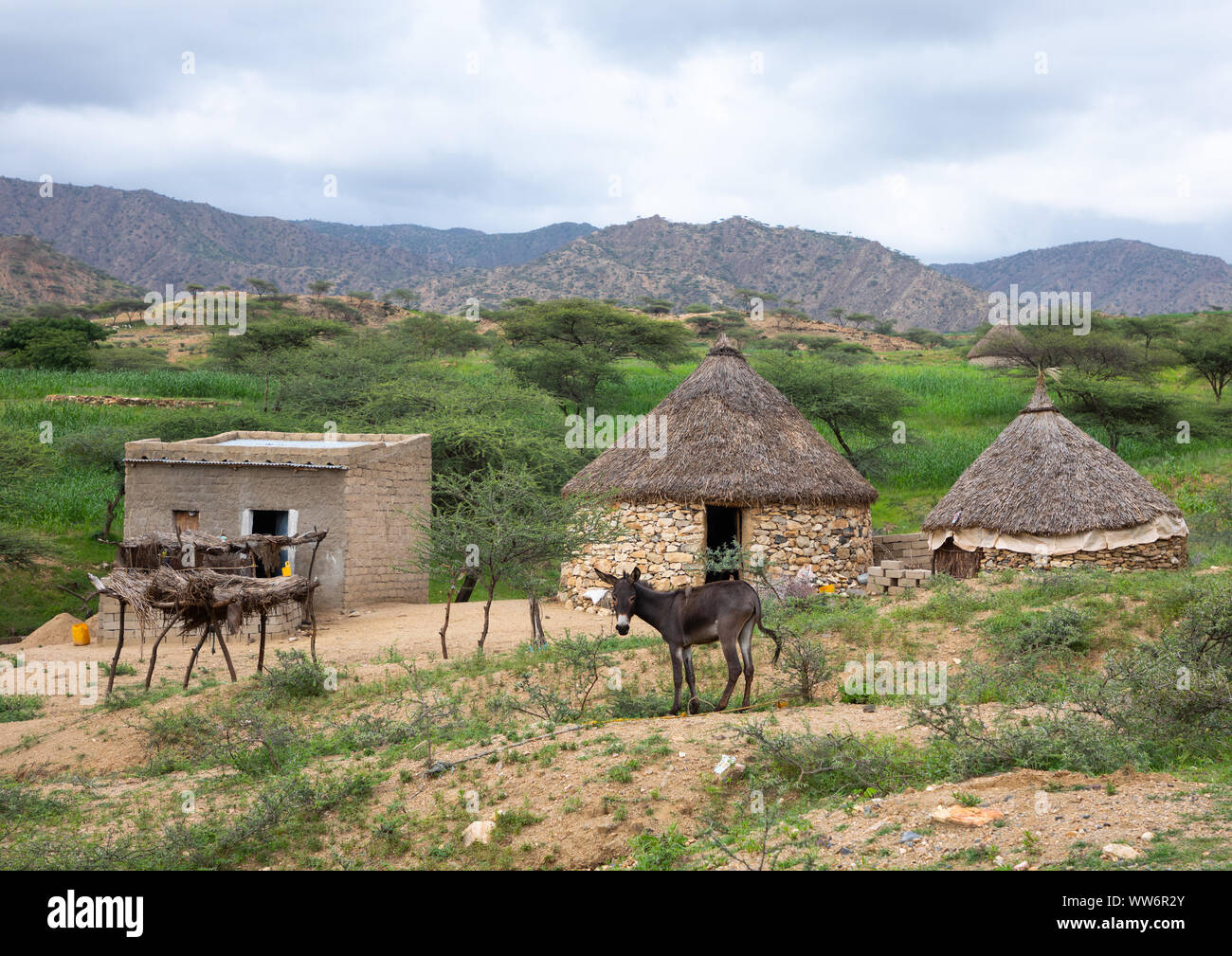 Eritrea bilen hi-res stock photography and images - Alamy