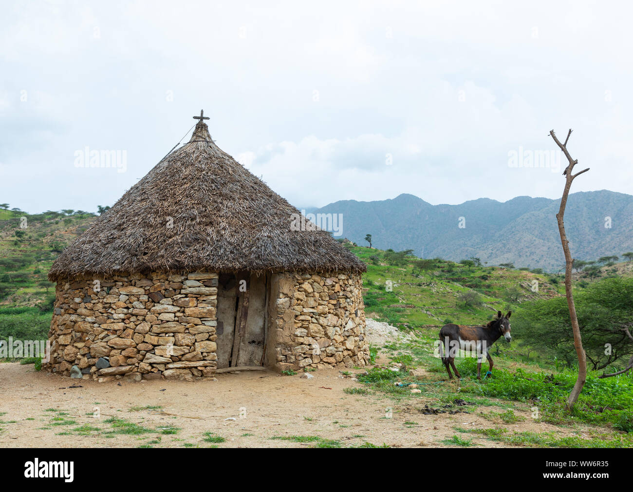 Eritrea bilen hi-res stock photography and images - Alamy