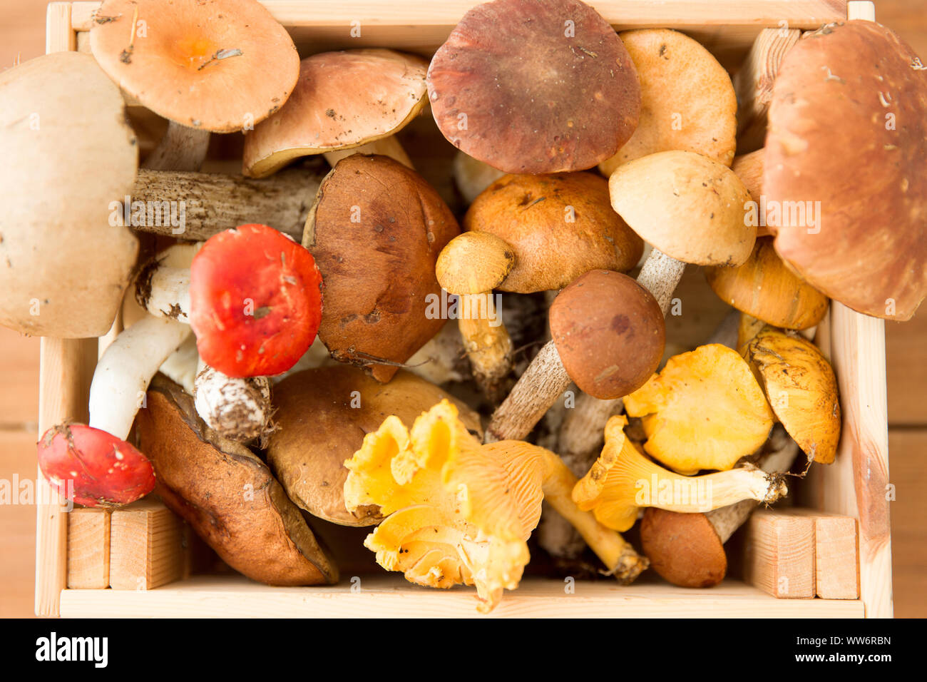 wooden box of different edible mushrooms Stock Photo - Alamy