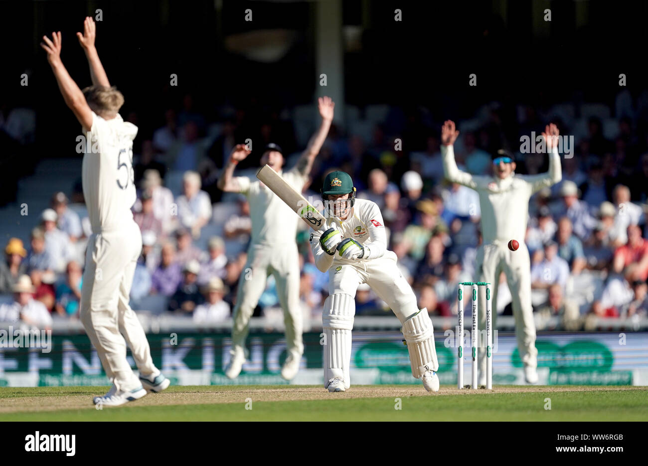 Australia's Tim Paine in batting action as England players appeal for ...