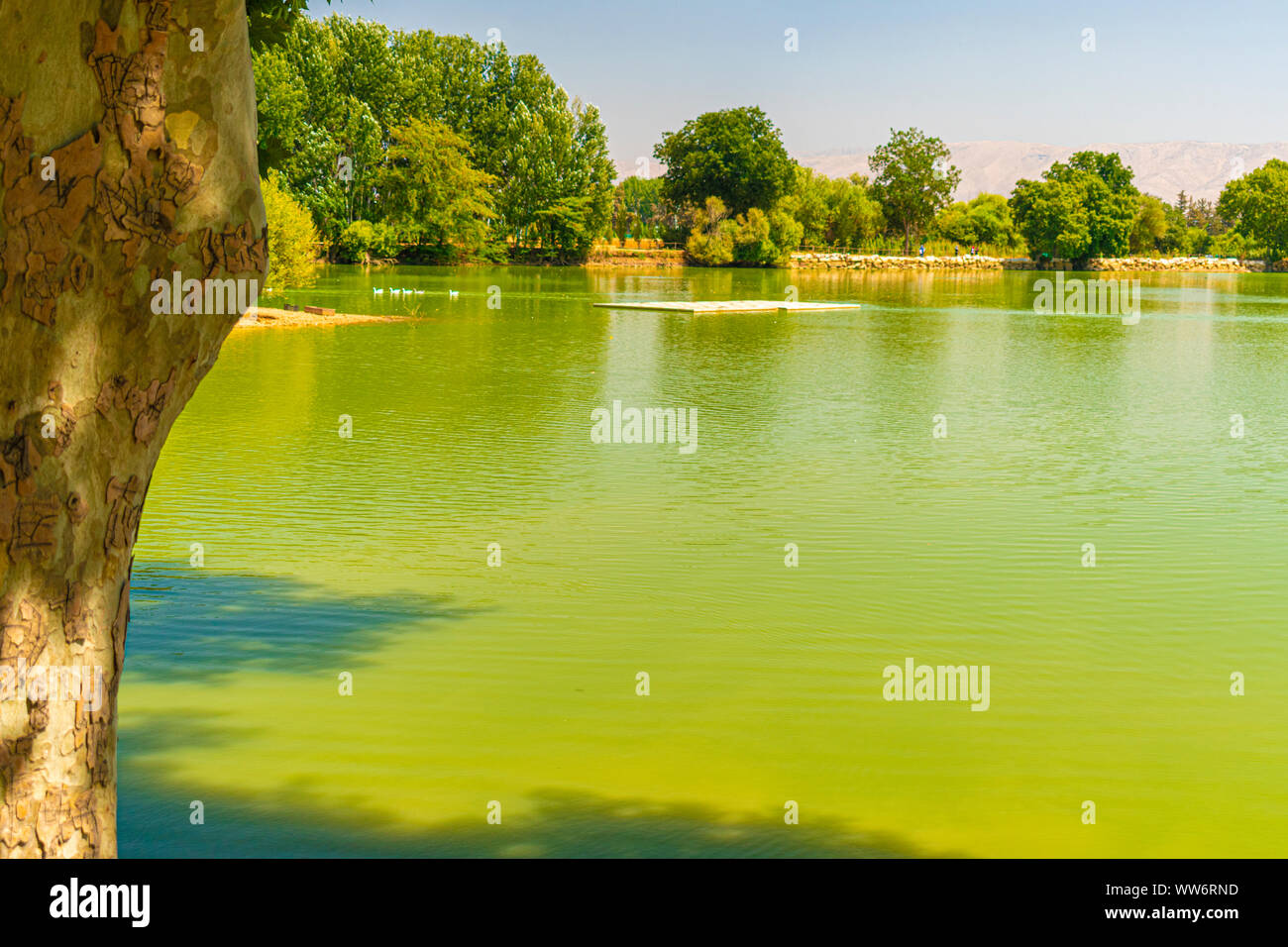 Overlooking the magical Bekaa Valley Stock Photo - Alamy