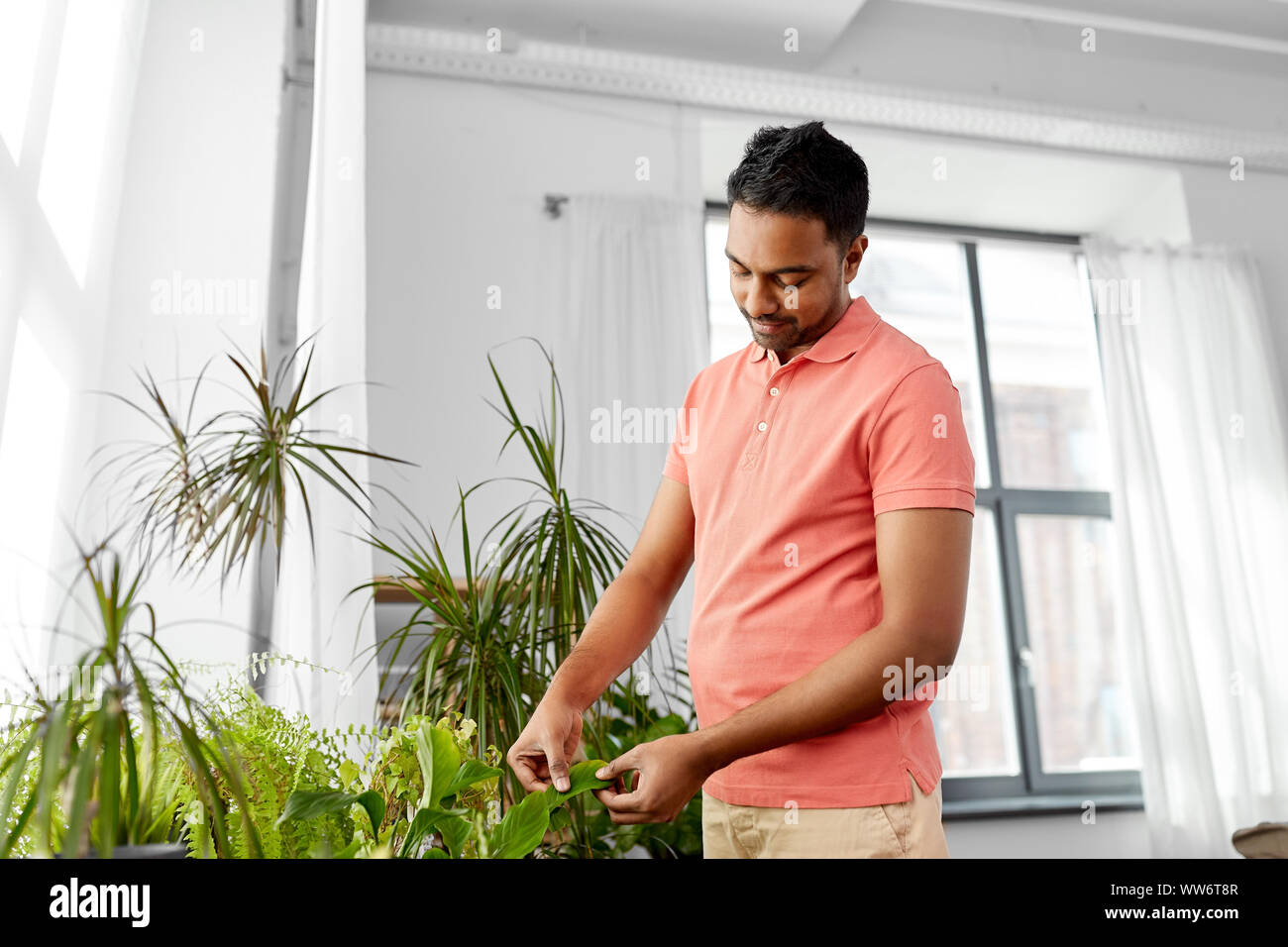 Indian home houseplants hi-res stock photography and images - Alamy