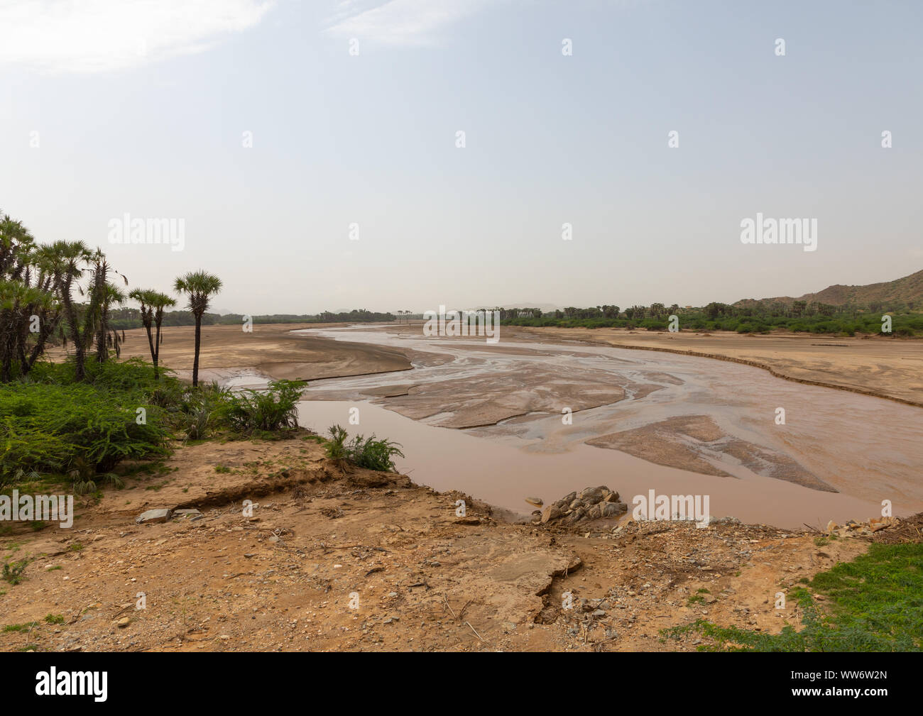 Dry river with palm trees, Gash-Barka, Agordat, Eritrea Stock Photo - Alamy