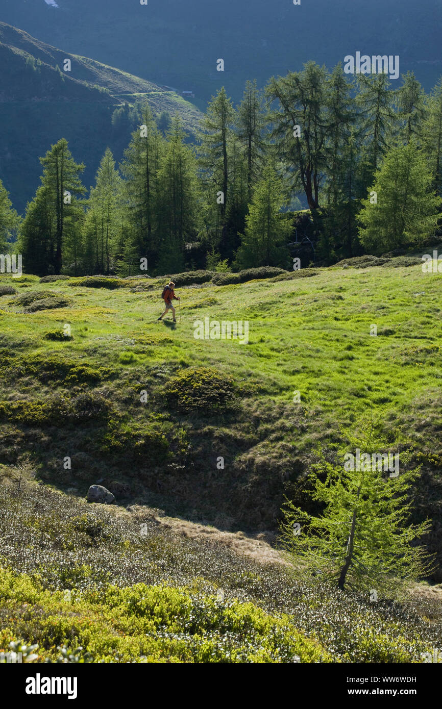 Hiker on Weberstein, Hohe Tauern, East Tyrol, Austria Stock Photo - Alamy