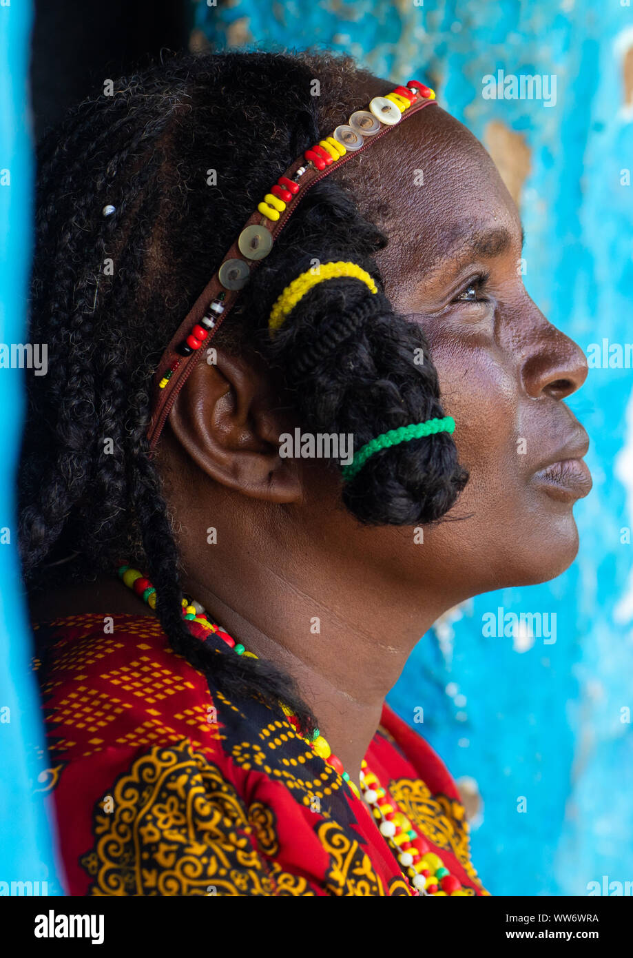 Portrait of a Kunama tribe woman with traditional hairstyle, Gash-Barka ...