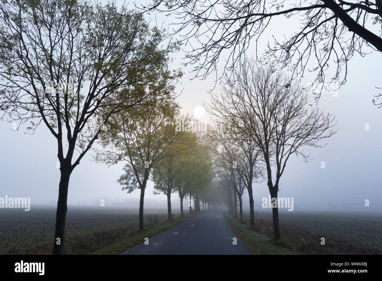 Housing in lower east hi-res stock photography and images - Alamy
