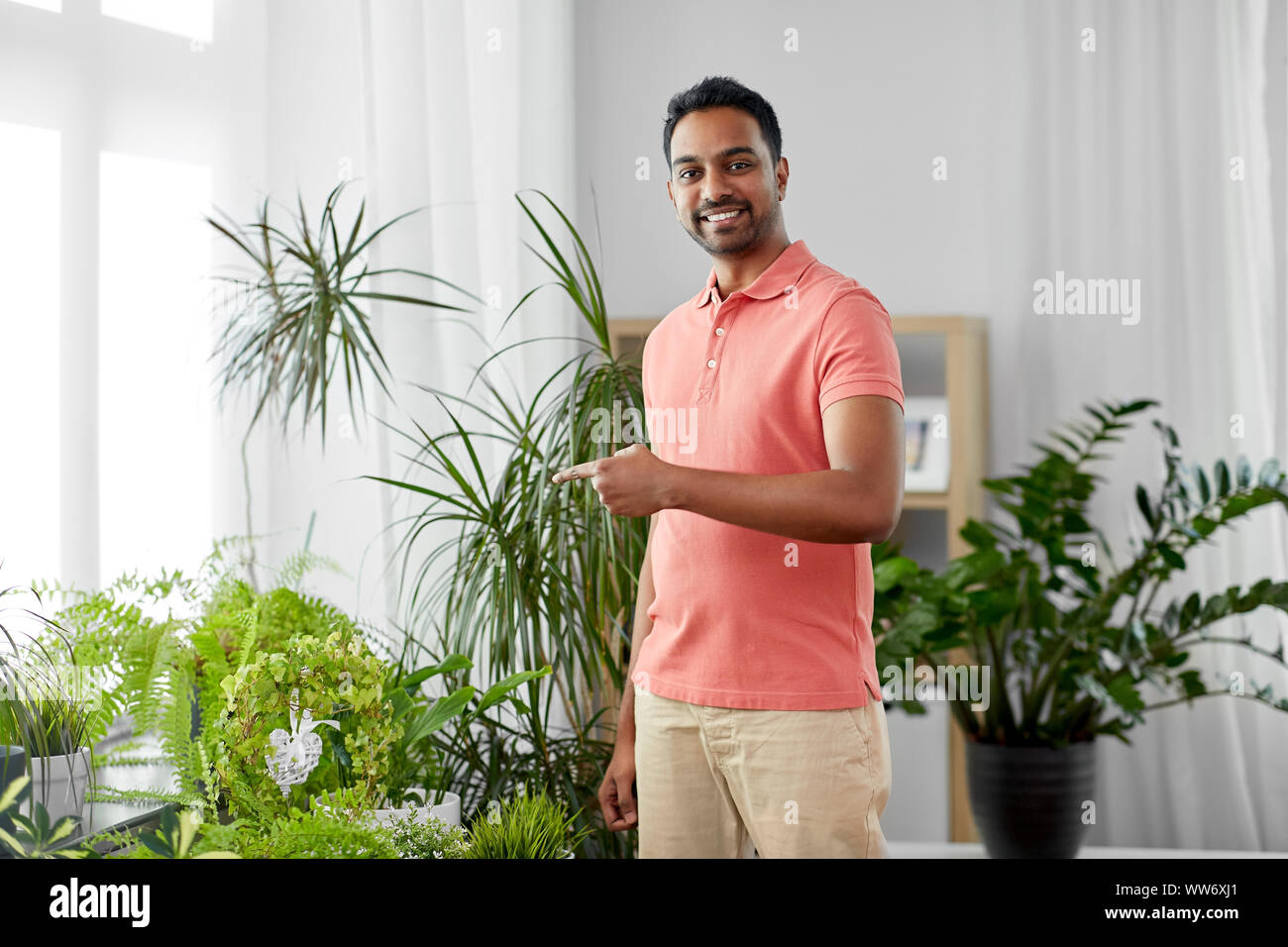 Indian home houseplants hi-res stock photography and images - Alamy