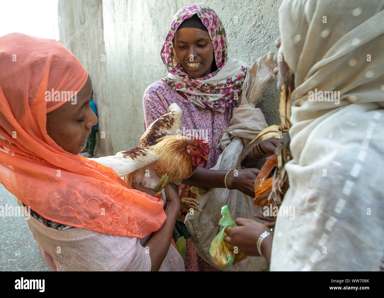 Ethiopian women trading chickens in the street, Harari region, Harar ...