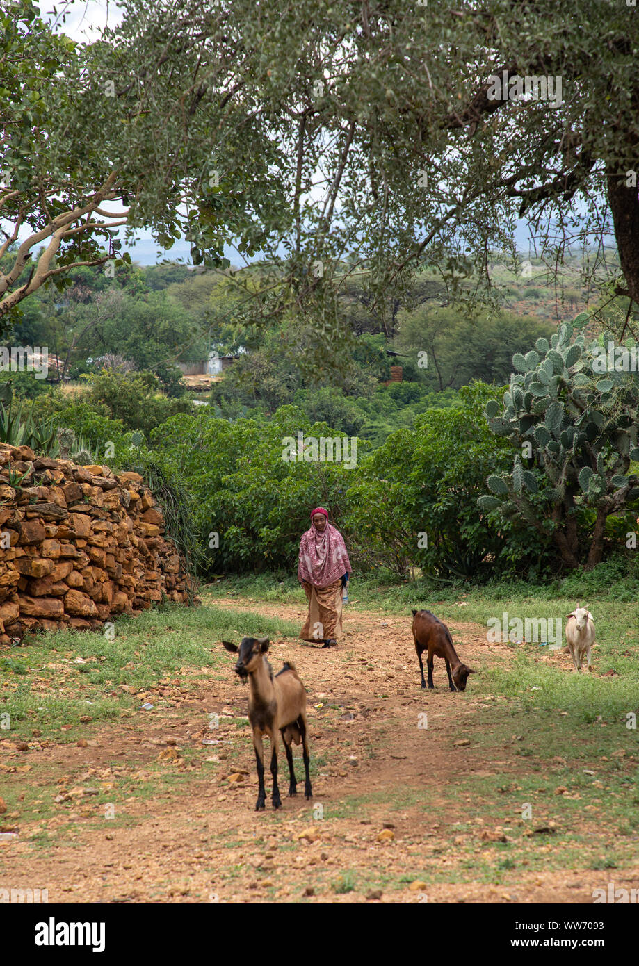Oromo pilgrim in the shrine of sufi Sheikh Hussein , Oromia, Sheik ...