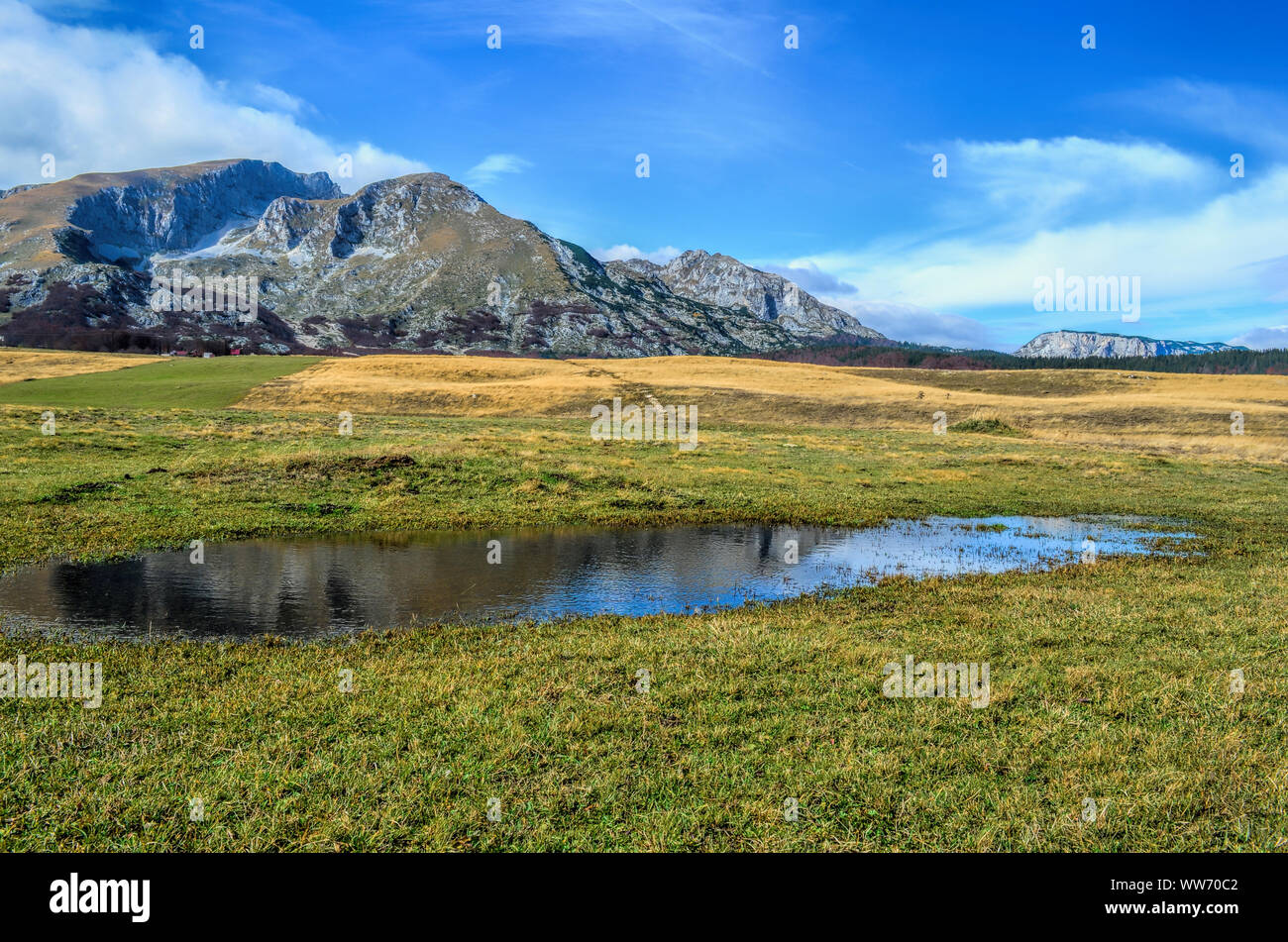Clear puddle hi-res stock photography and images - Alamy