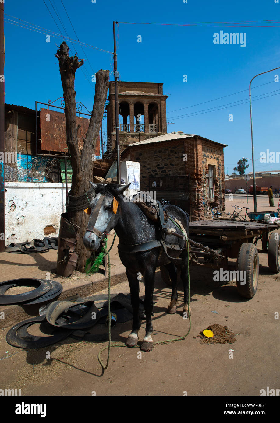 Horse and cart in medebar metal market, Central region, Asmara, Eritrea ...